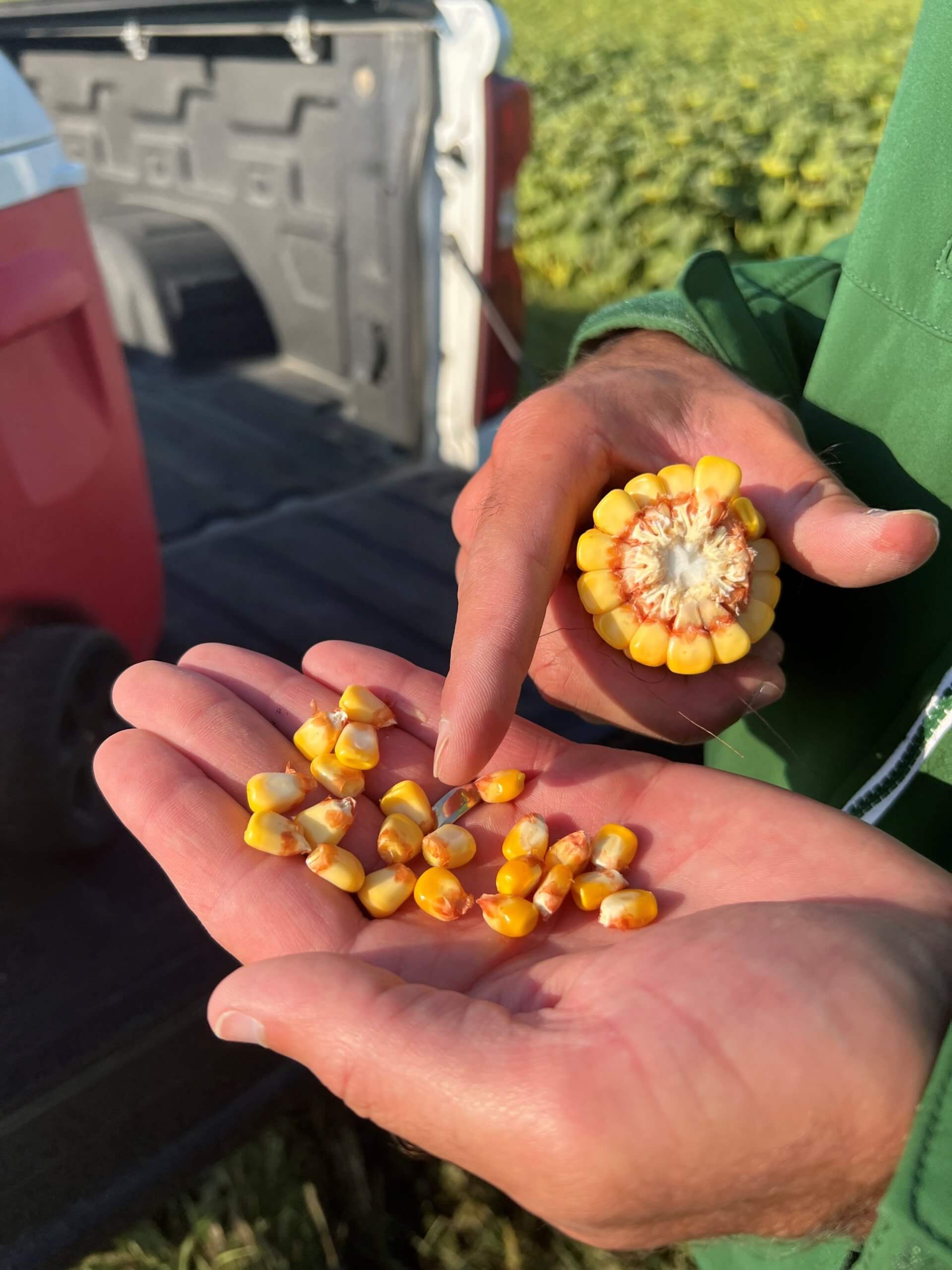 More Time Needed | Red River Farm Network