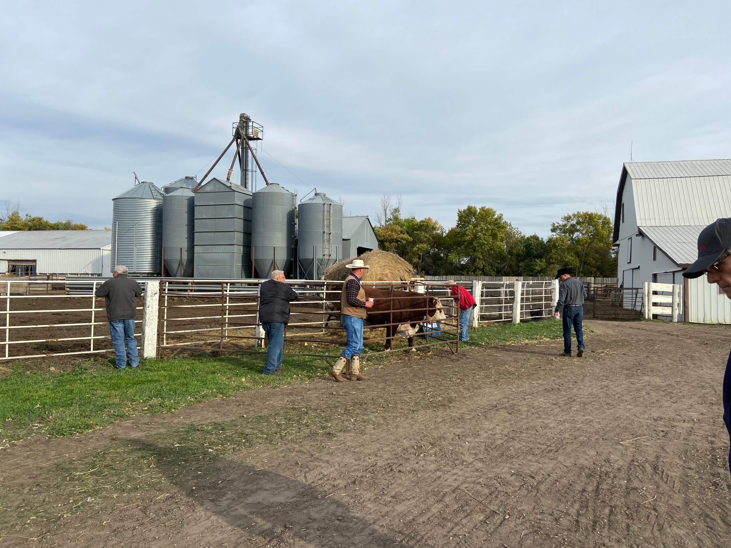 Livestock Producers Struggle with Labor Shortage | Red River Farm Network